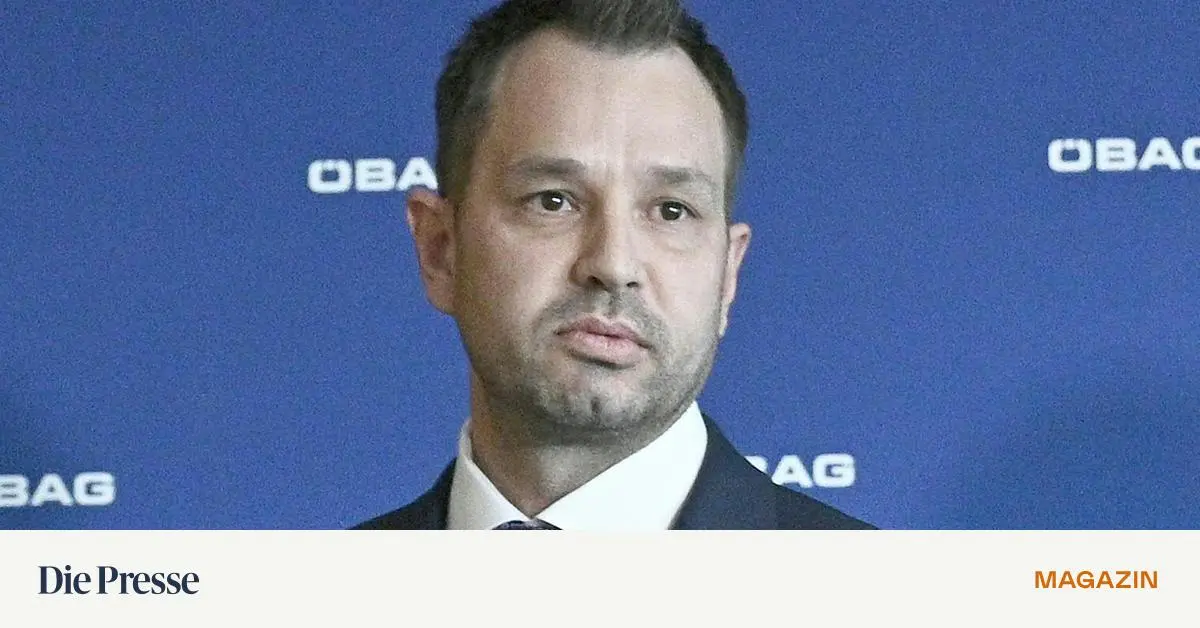 Thomas Schmid bringt Ermittler auf neue Spuren – DiePresse.com