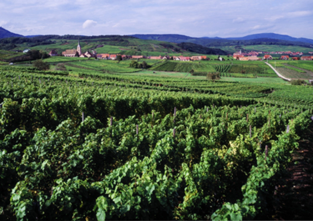 Elsass – DiePresse.com