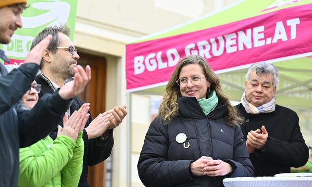 „Es geht ans Eingemachte“: Bleiben die Grünen im Landtag? – DiePresse.com