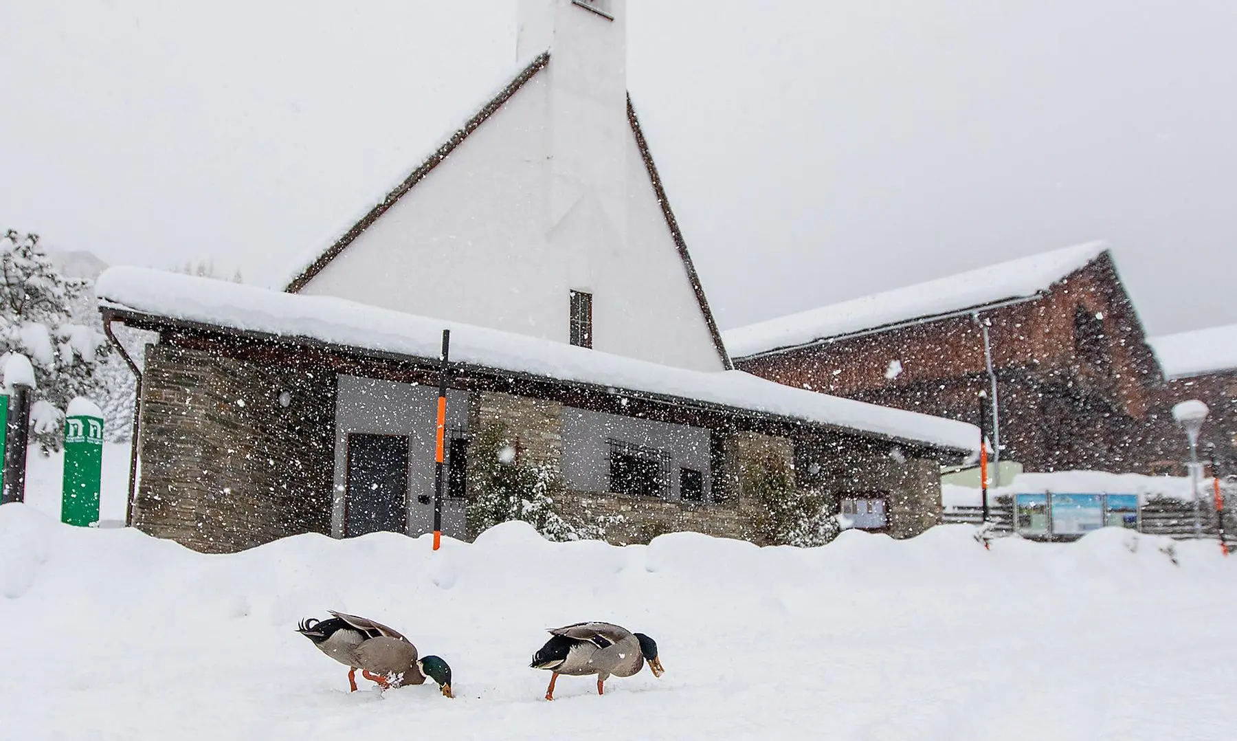 Schneechaos in Osttirol: Erneut 4500 Haushalte ohne Strom – DiePresse.com