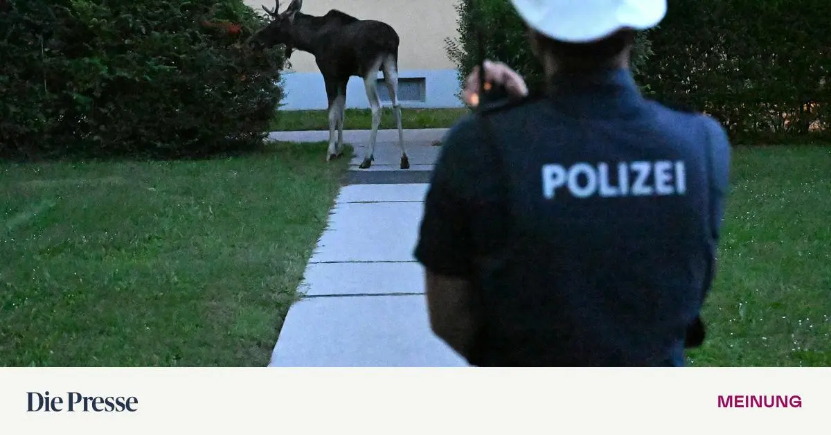 Elch Emil trägt kein Kopftuch. Sei wie Emil! – DiePresse.com