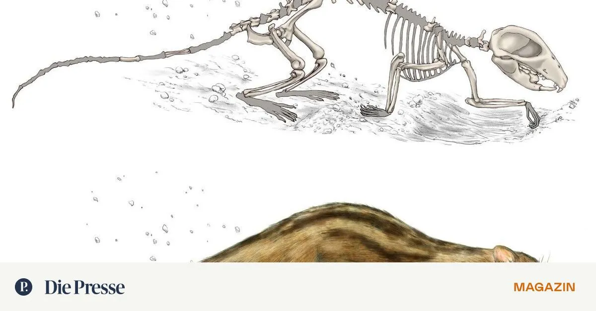 Säugetiere: Soziales Verhalten schon vor 75 Millionen Jahren ...