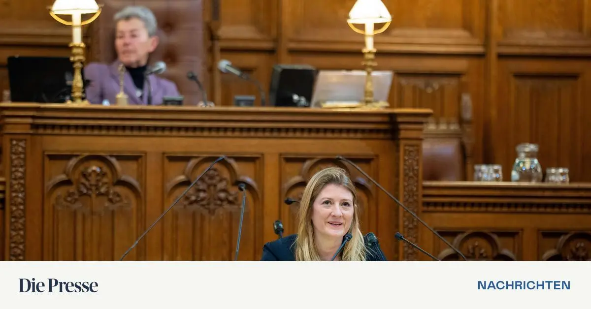 Neos: Emmerling folgt Wiederkehr als Bildungsstadträtin in Wien nach ...