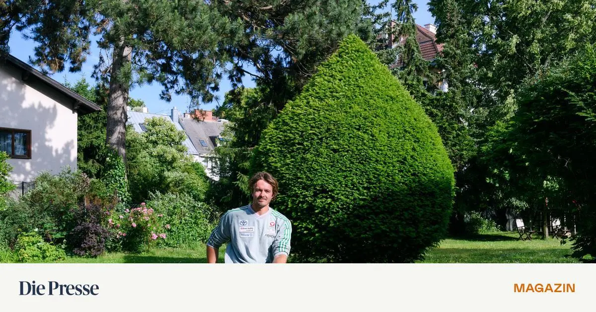 Nico Langmann: „Ich will das Maximum herausholen“ – DiePresse.com