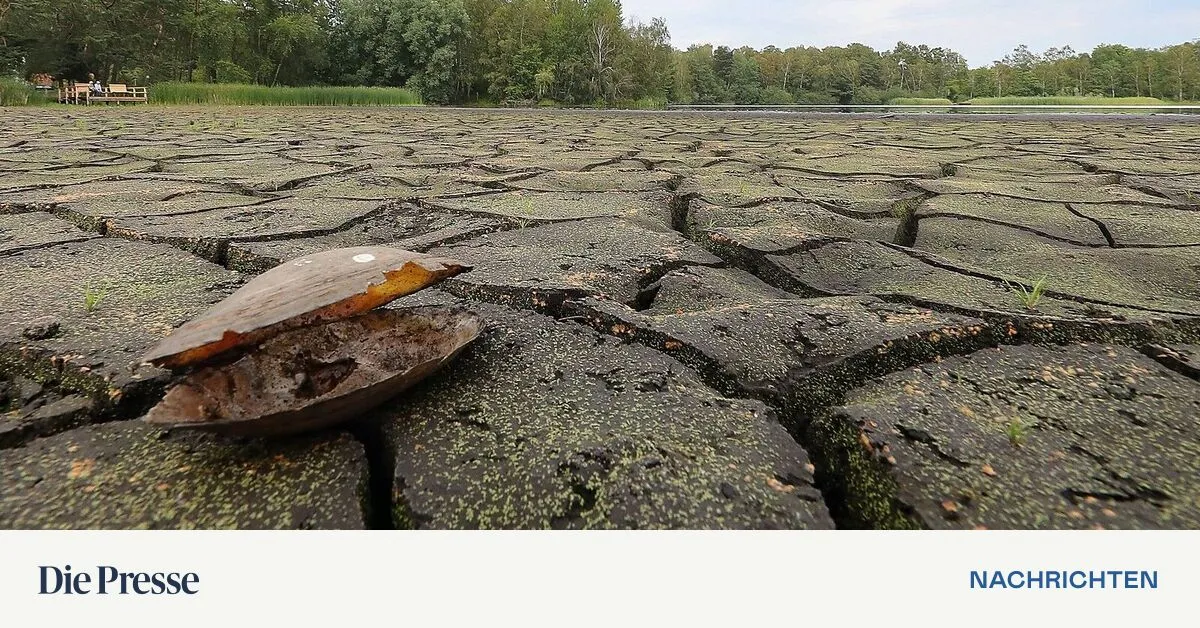 UNO-Chef: Juli könnte weltweit heißester Monat bisher gewesen sein ...