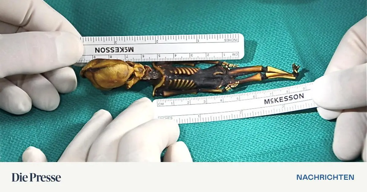 Rätsel um "Atacama-Alien" gelöst – DiePresse.com