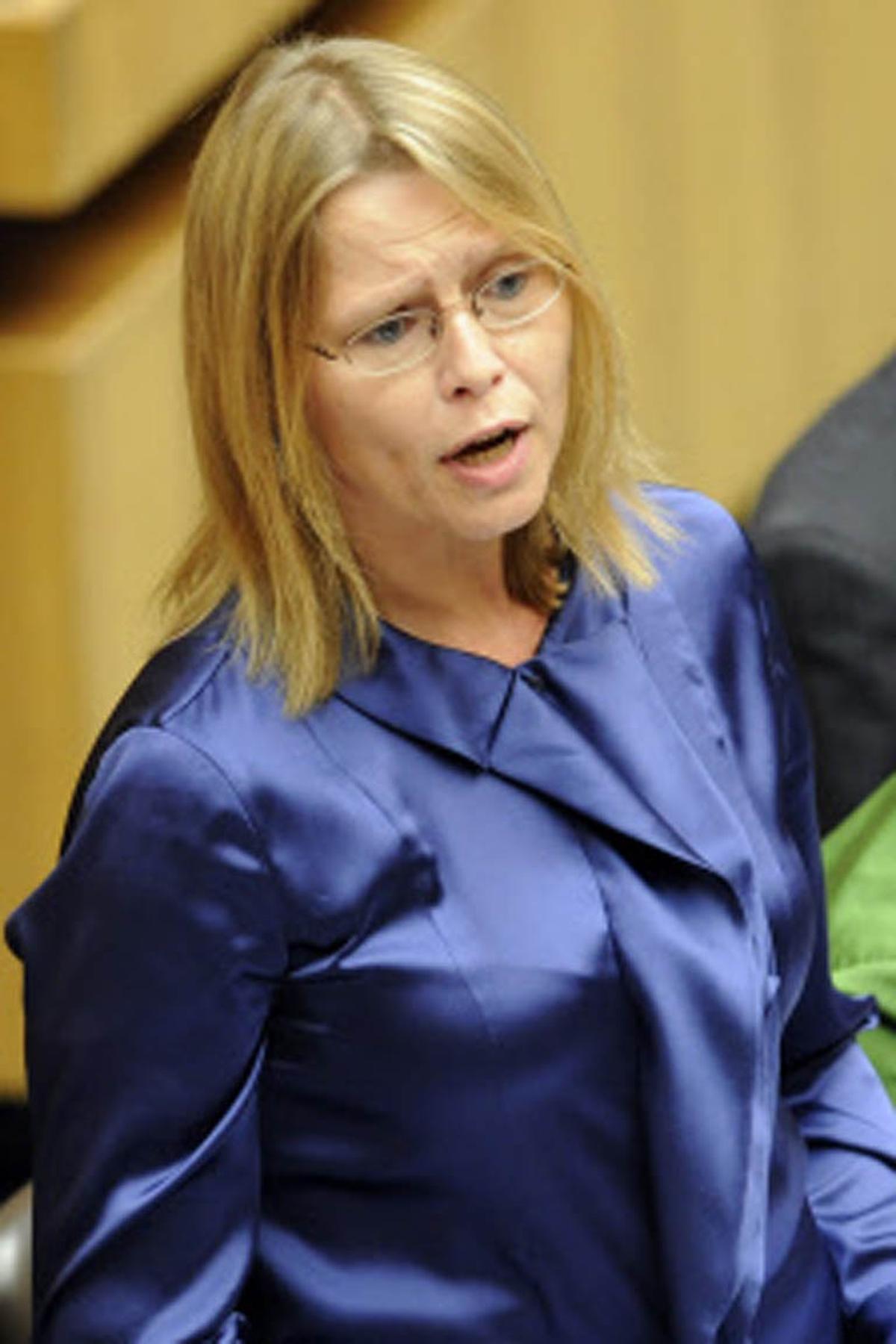 Wie sich die Neuen schlagen | DiePresse.com