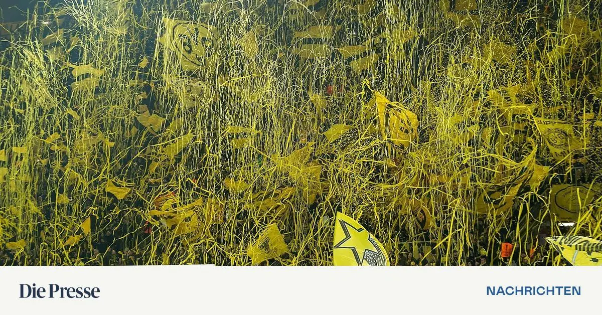 Dortmunder Fan-Bündnis sammelt für Austria Salzburg – DiePresse.com