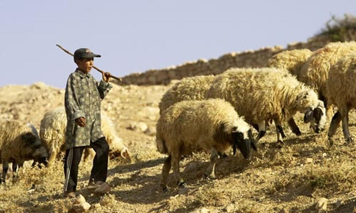 Iraks Kurden liebäugeln mit Türkei | DiePresse.com