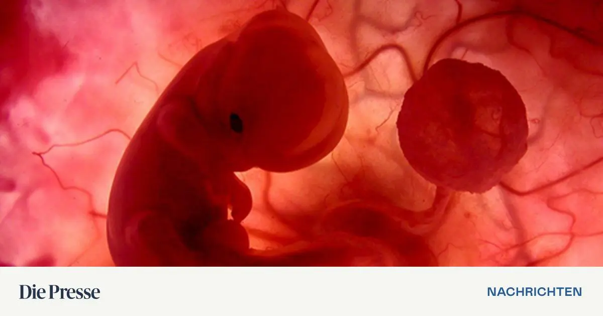 Das Herz von Embryos schlägt im unfertigen Zustand – DiePresse.com