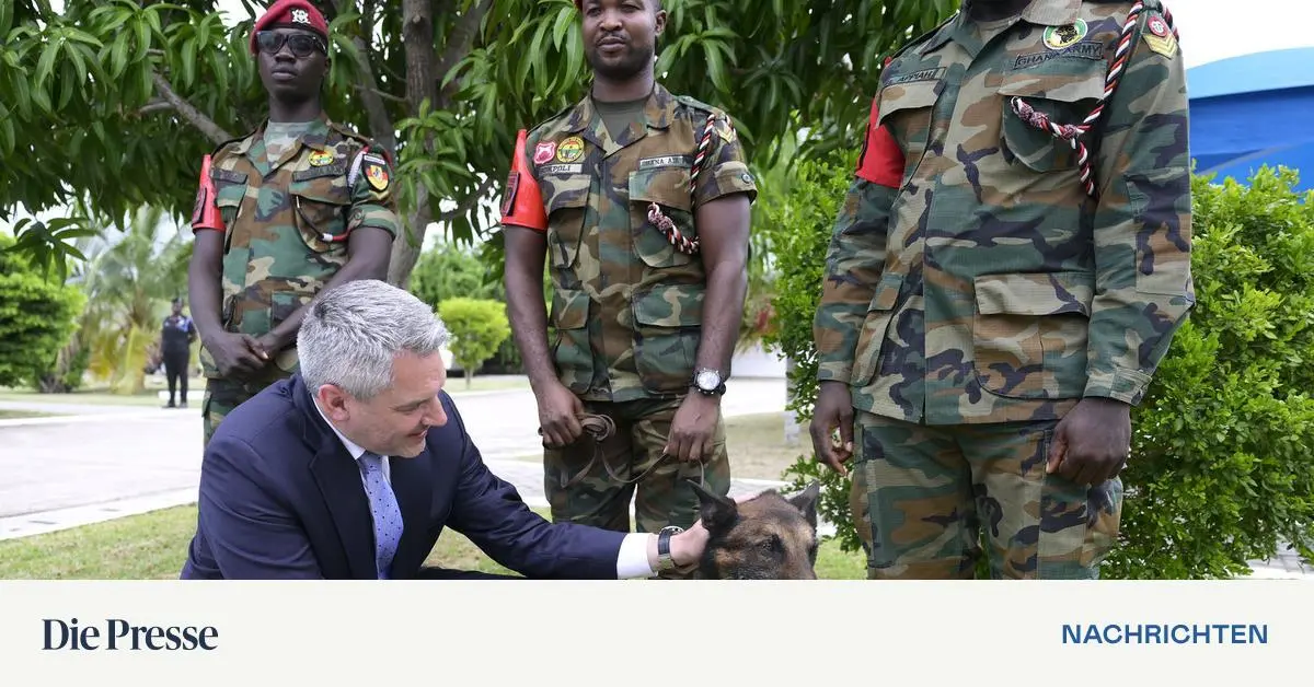Karl Nehammer und die Schäferhunde in Ghana – DiePresse.com