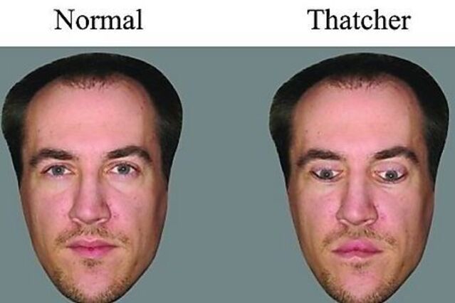 Thatcher-Illusion: Gesichter sieht man anders – DiePresse.com
