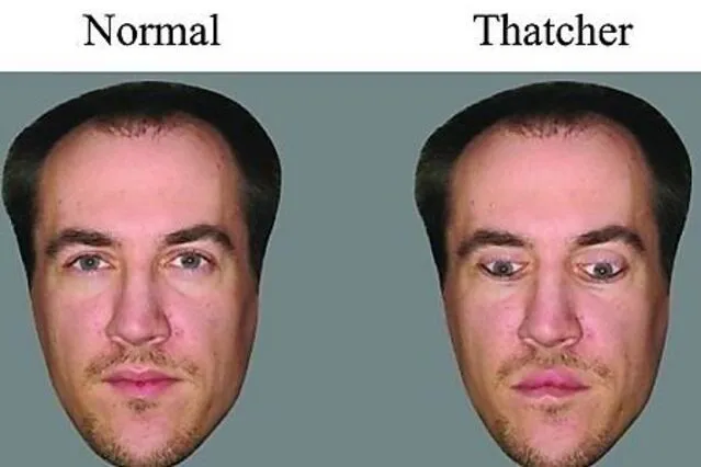 Thatcher-Illusion: Gesichter sieht man anders – DiePresse.com