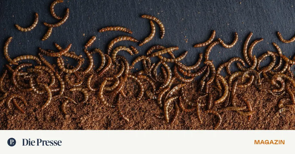 Der Ekel vor dem hochwertigen Snack | DiePresse.com