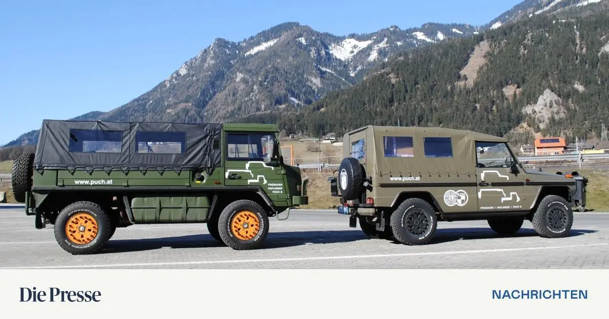 Thales-Konzern setzt sich im Bieterkampf um Steyr Motors durch ...