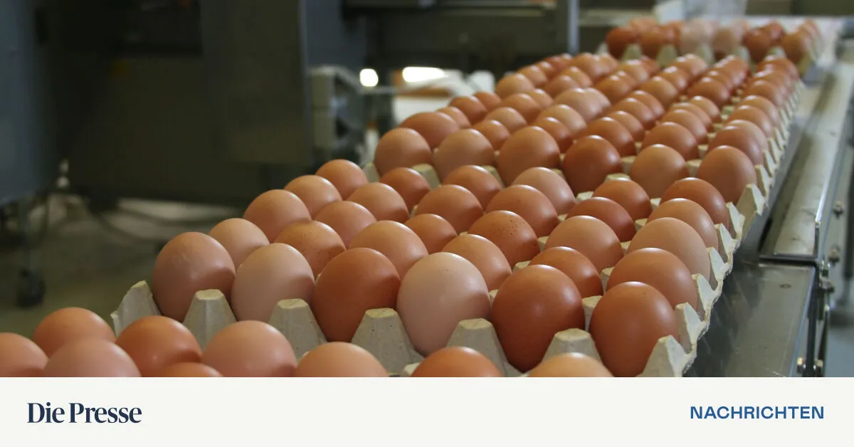 USA: Supermärkte rationieren Eier – DiePresse.com