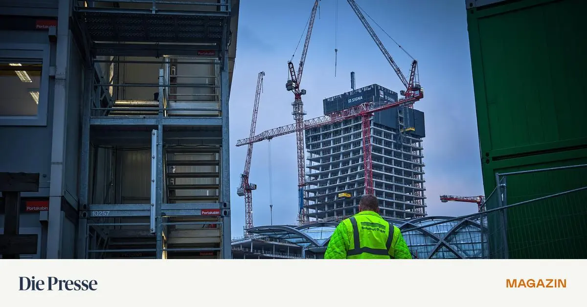 Wer sind die Schuldigen der Signa-Misere? – DiePresse.com