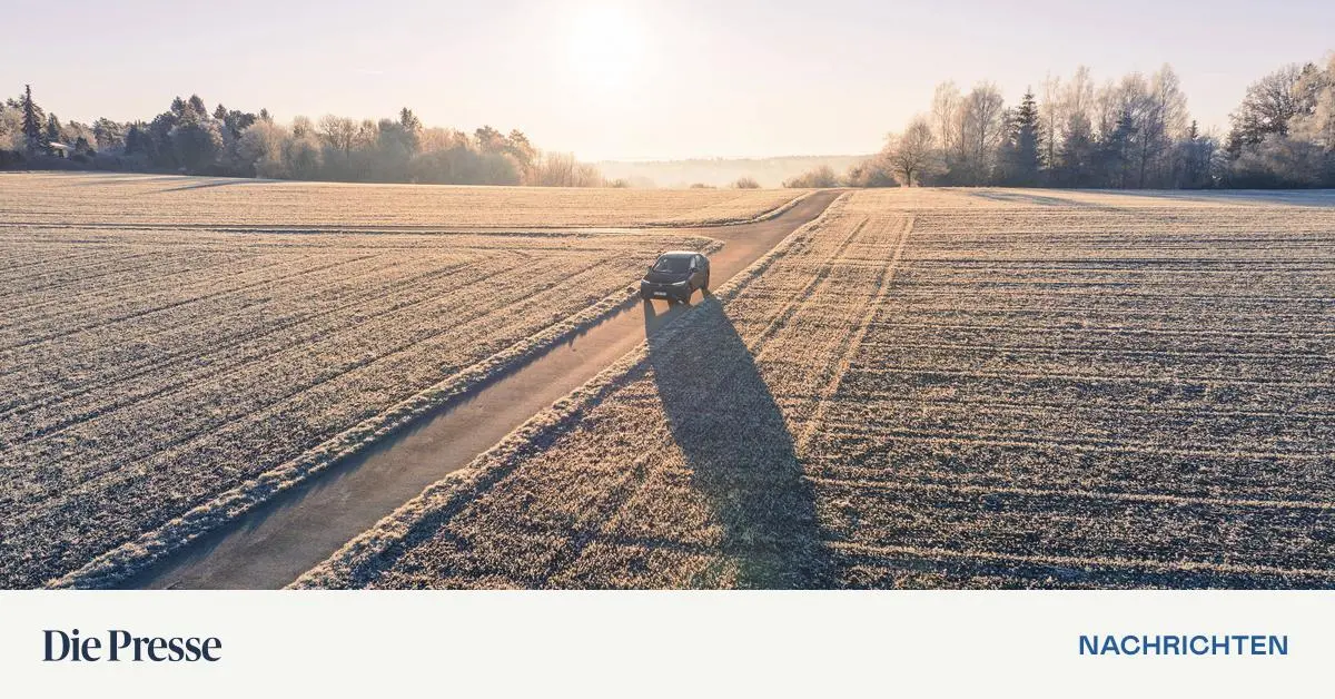 E-Autos - Käufer von E-Autos können nun mit einer Prämie der EU rechnen – DiePresse.com