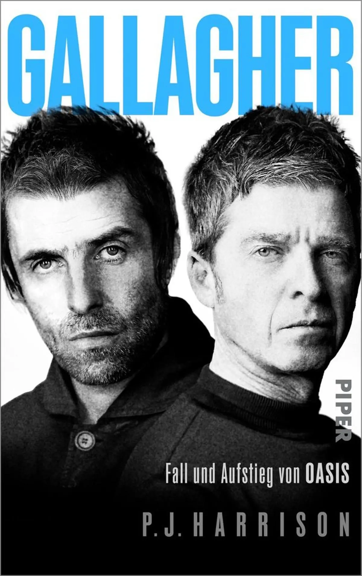 Popmusik und Skandale – drei Buchempfehlungen – DiePresse.com