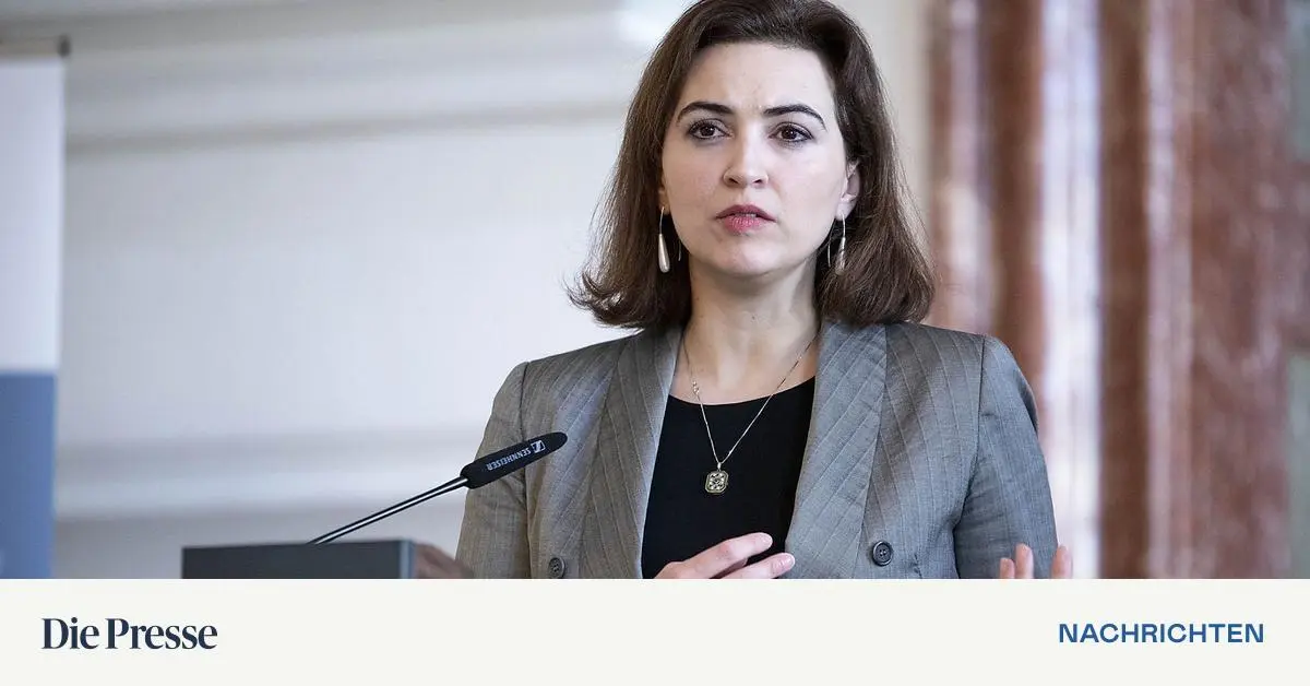 Justizministerium schaltet VfGH ein, um Schmid-Befragung einzuschränken – DiePresse.com