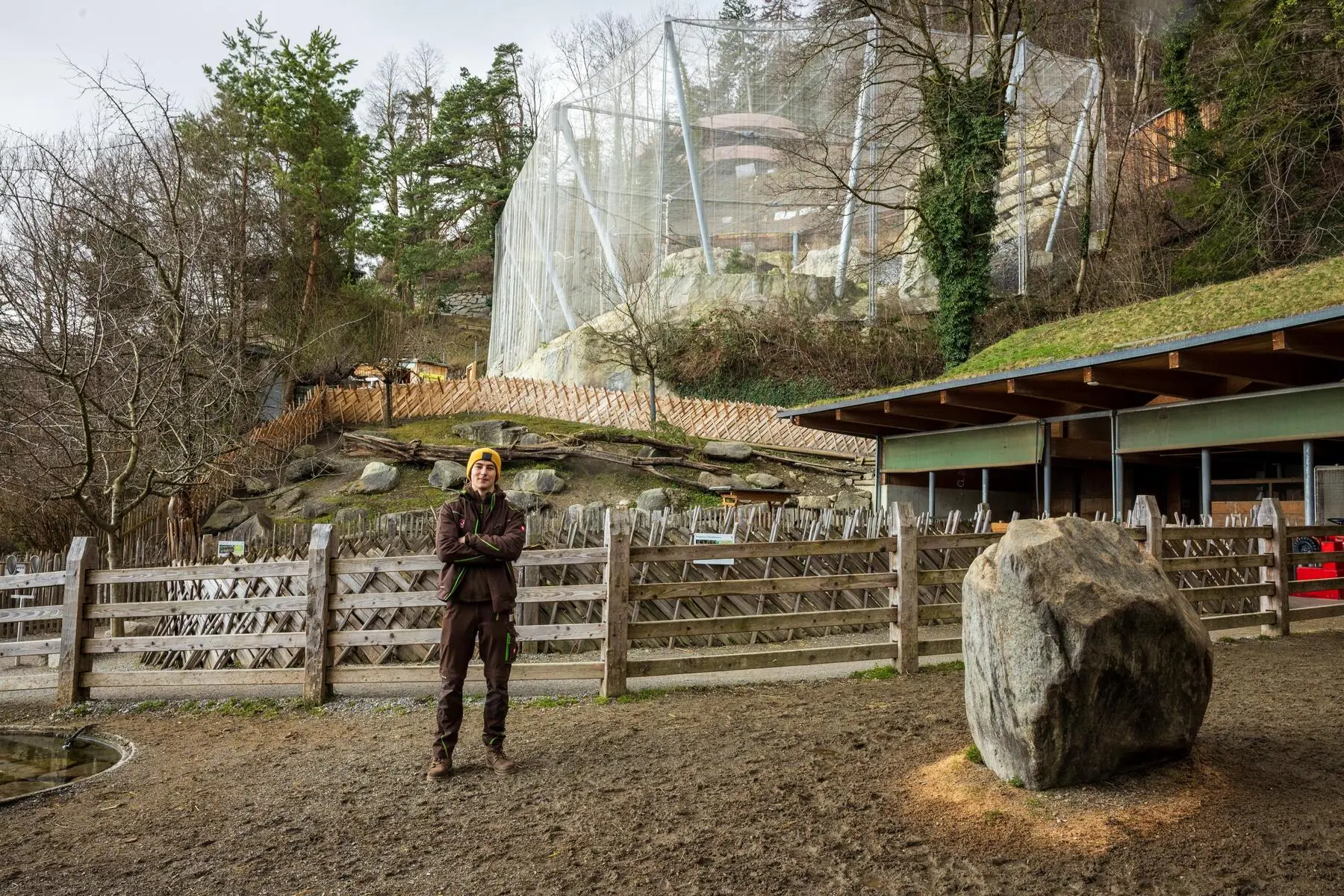 Zivildienst im Alpenzoo: „Ich wollte was ganz Spezielles“ – DiePresse.com