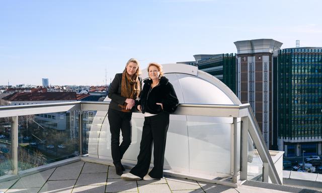 Damen rufen Könige: Wiens erstes Tarockturnier für Frauen – DiePresse.com