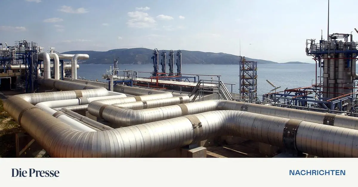 Nabucco-Projekt: "Es war ja keine Brautwahl" – DiePresse.com