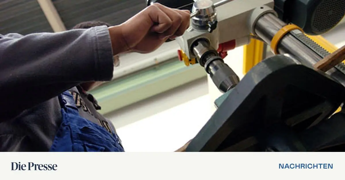 Un-Bildung: "Lehrlinge können fast gar nichts" – DiePresse.com