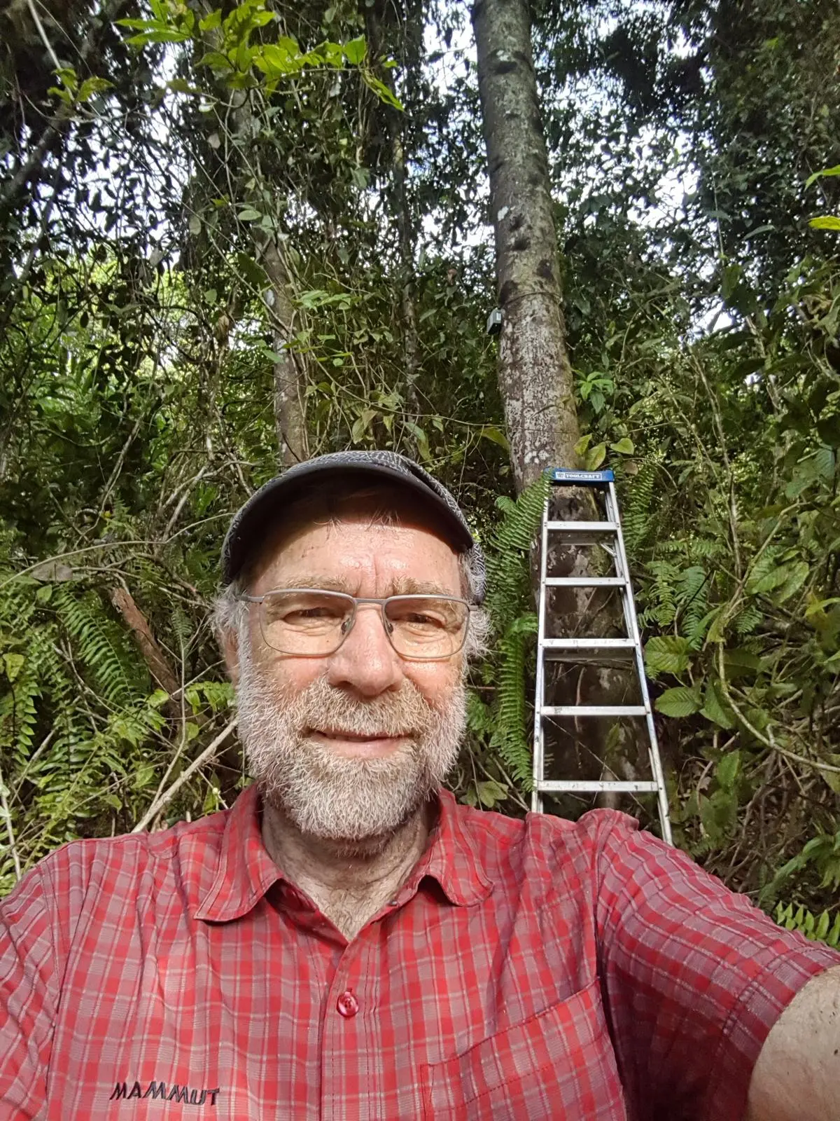 Lauschangriff auf die Vögel im Regenwald Costa Ricas – DiePresse.com