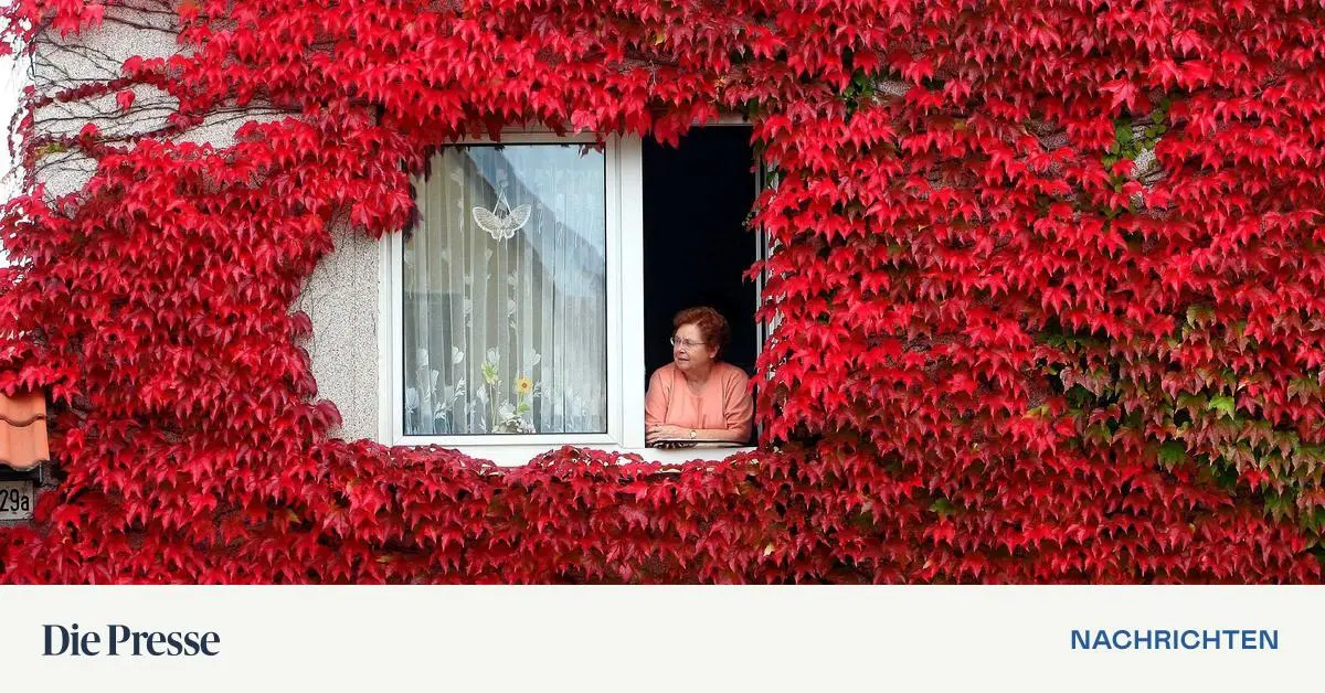 Wird Wohnen wieder leistbarer? – DiePresse.com