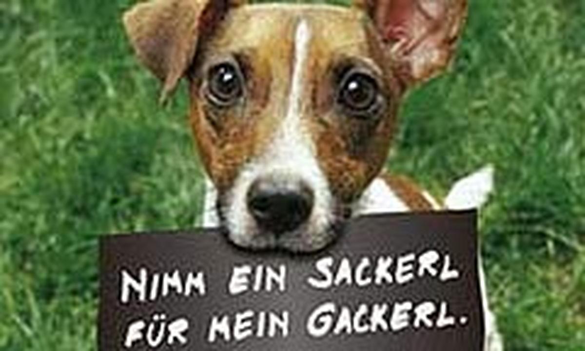 Sackerl fürs Gackerl: 30.000 neue Wiesenstecker | DiePresse.com