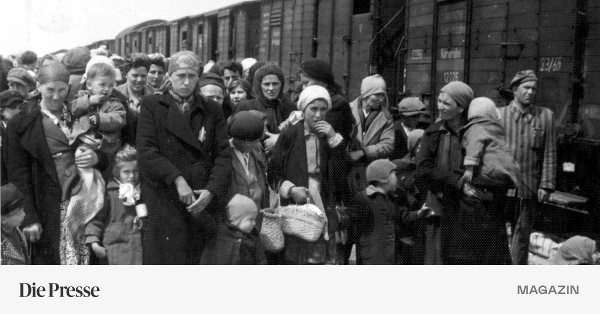Inszeniertes Verbrechen: Das Fotoalbum der Lili Jacob aus Auschwitz ...