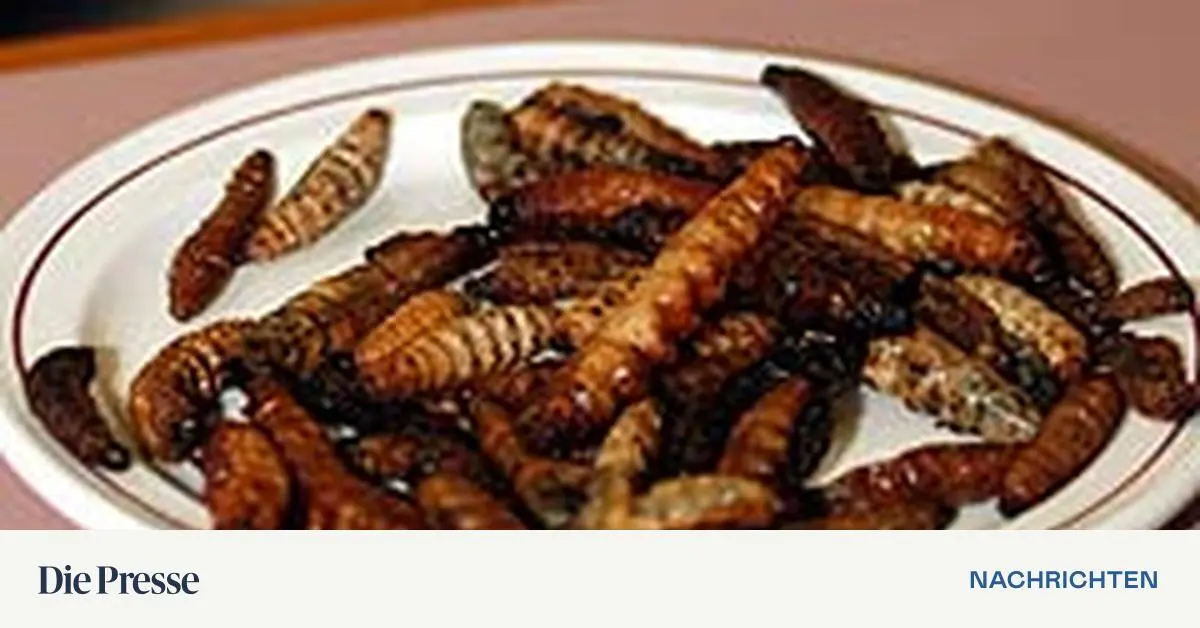 Psychologie: Ekel, Vater der Moral? | DiePresse.com