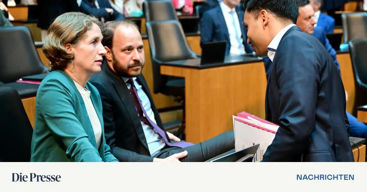 Messenger-Überwachung wird mit zwei Neos-Gegenstimmen beschlossen ...