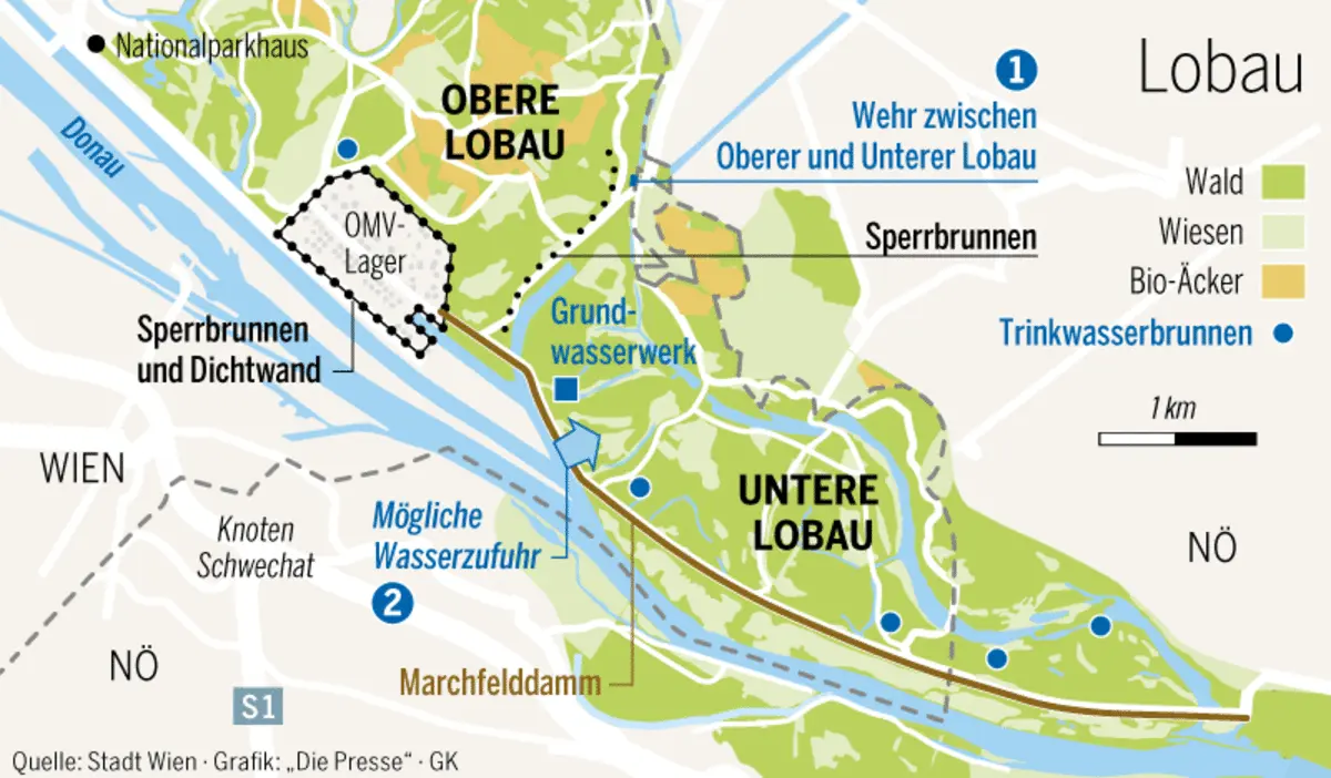Die „fortgesetzte Tragödie“ der Lobau – DiePresse.com