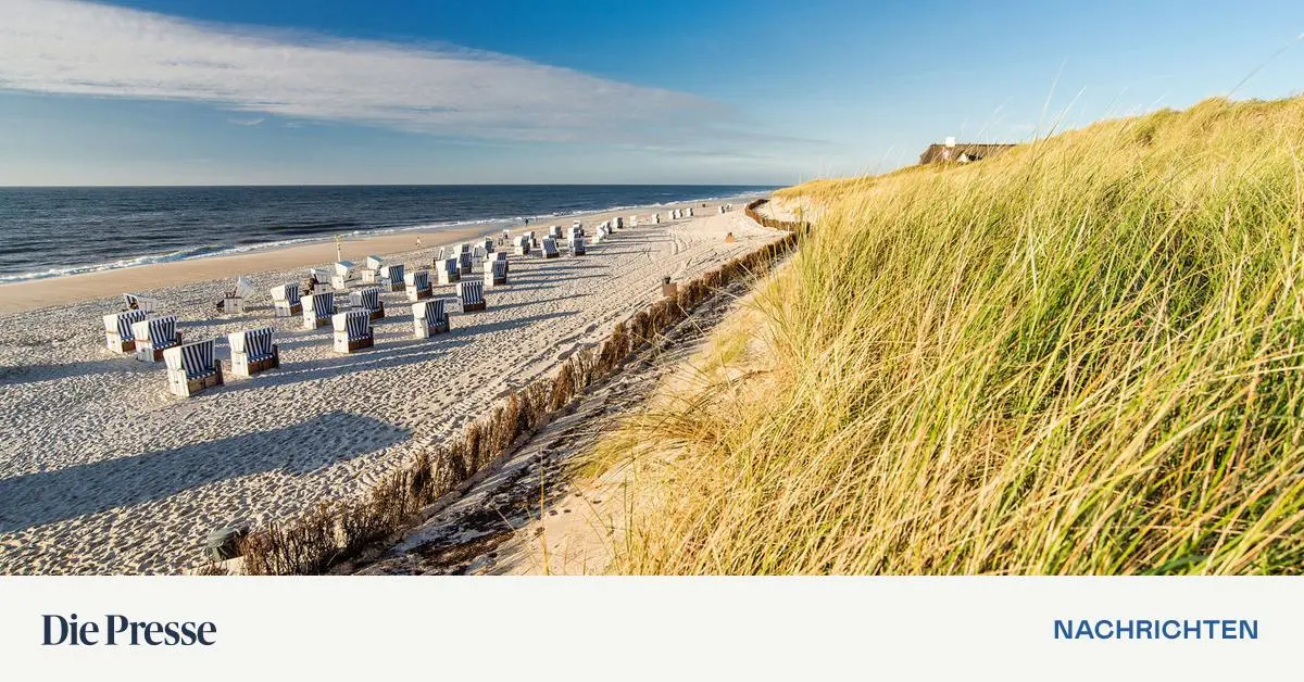 Sylt: Deutsche Sandbank, reich an Austern – DiePresse.com