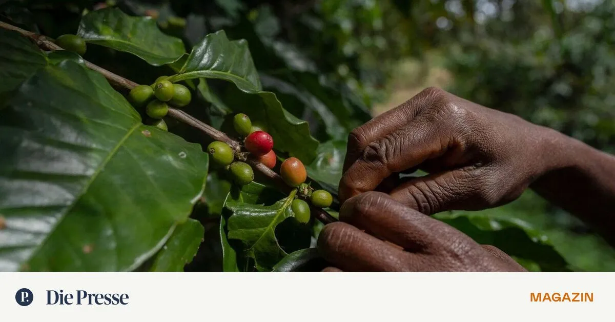 Nespresso-CEO Le Cunff: „Mit jeder Tasse vermeide ich Müll“ | DiePresse.com