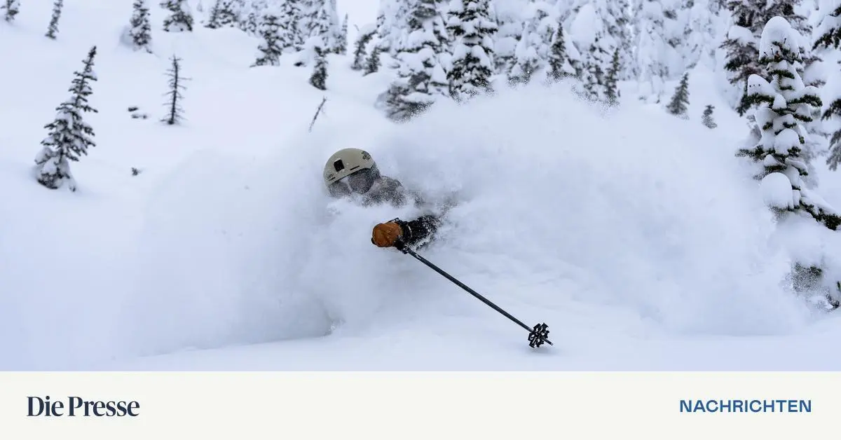 Powder auf der Kinoleinwand – DiePresse.com