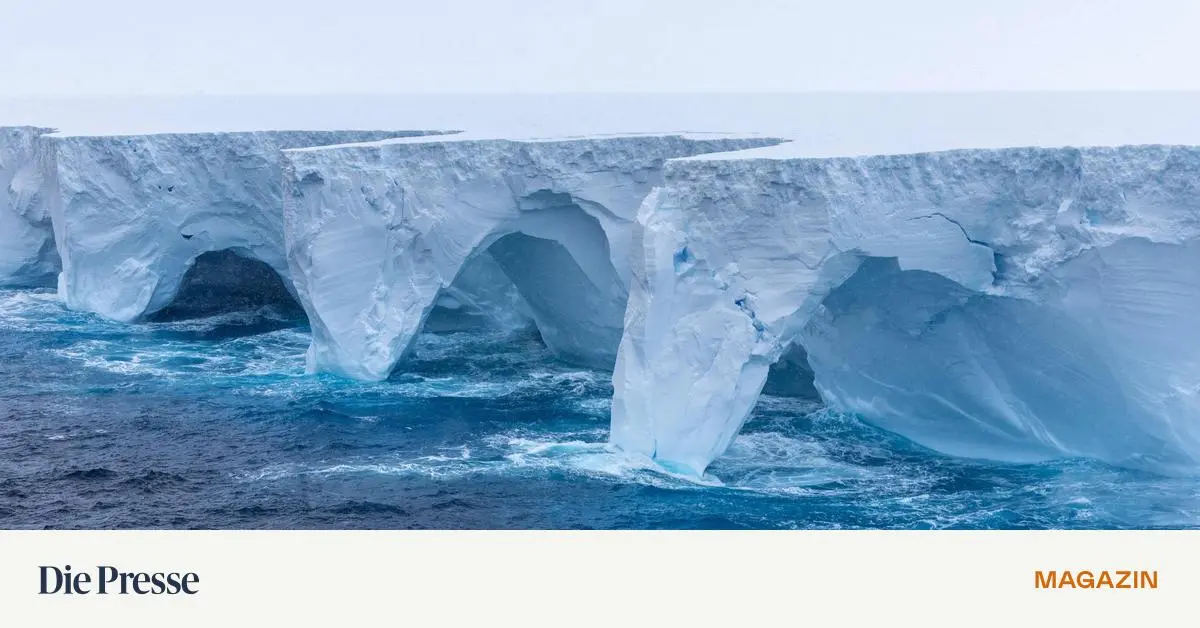 A23a: Der größte Eisberg der Welt auf Kollisionskurs – DiePresse.com