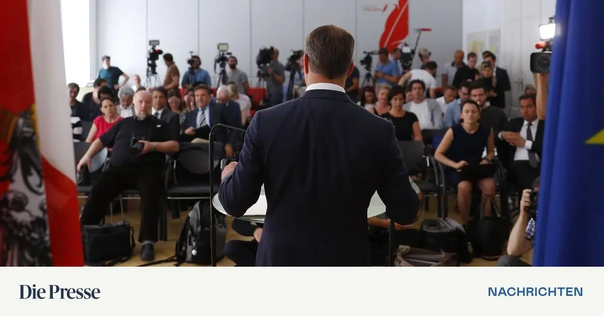 "Ich liebe Politik": Neos-Chef Strolz tritt zurück – DiePresse.com