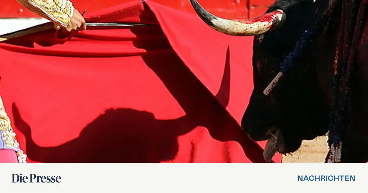 Stierkampf: Tausende Jahre Tradition – DiePresse.com