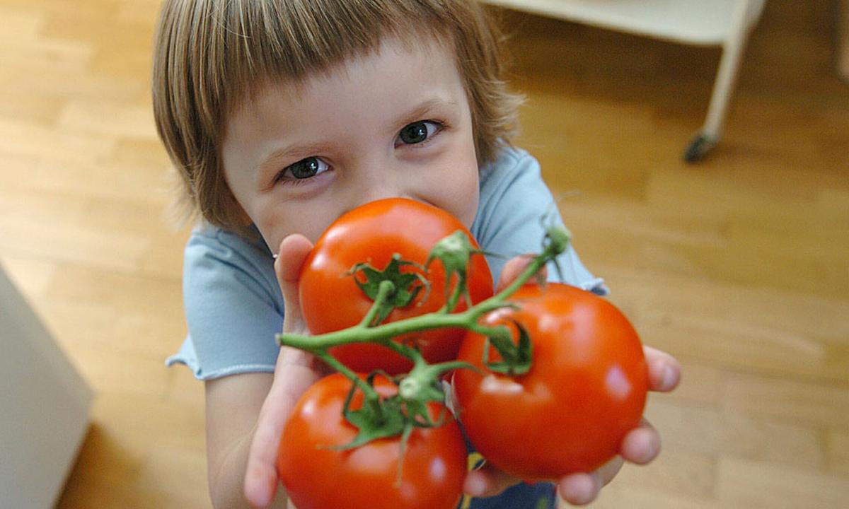 "Schmatzo": ORF lässt ab Juli Kinder kochen | DiePresse.com