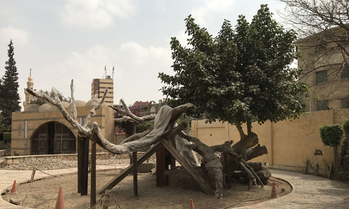 Ägypten: Der Papst, der Großscheich und der heilige Baum | DiePresse.com