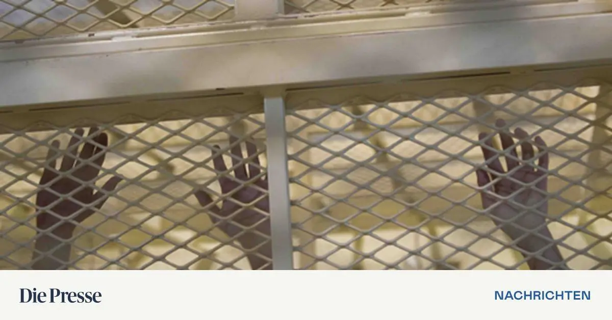 EMRK: "Straßburg lädt zu Beschwerden geradezu ein" – DiePresse.com