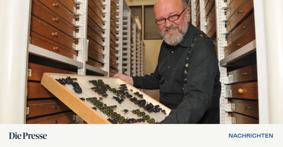 Heinrich Schönmann: Ich war nie ein Ehrgeizler" – DiePresse.com