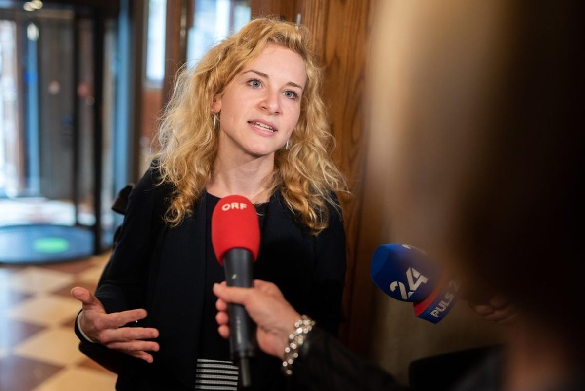 Jung, erfahren, Doskozil-nah: Vorstand und Klub winken Bablers Team ...