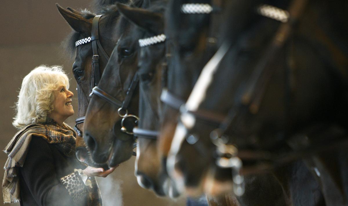 65 Skandaljahre | DiePresse.com